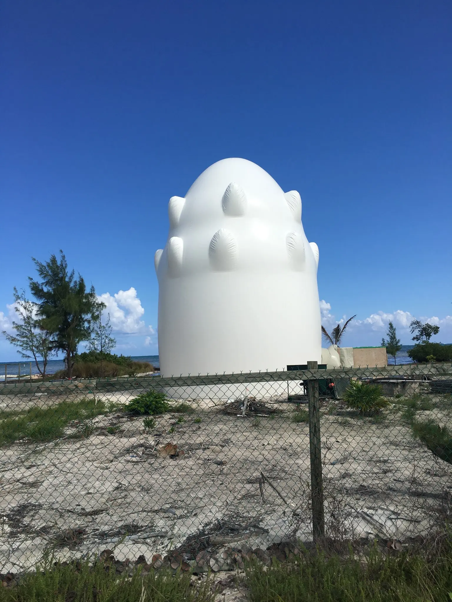 Image: Inflated Airform - Monolithic Dome Institute